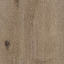 CoreTEC Pro Plus Long Planks | LaminaatenParket